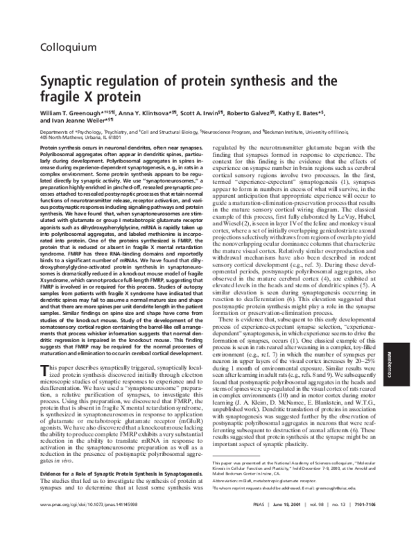 (PDF) Synaptic regulation of protein synthesis and the fragile X protein