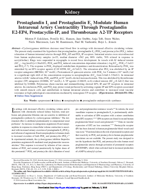 (PDF) Prostaglandin I2 and prostaglandin E2 modulate human intrarenal ...