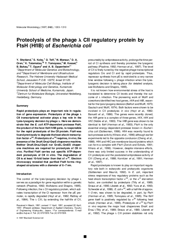 (PDF) Proteolysis of the phage lambda CII regulatory protein by FtsH ...