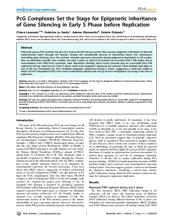 (PDF) PcG Complexes Set the Stage for Epigenetic Inheritance of Gene ...