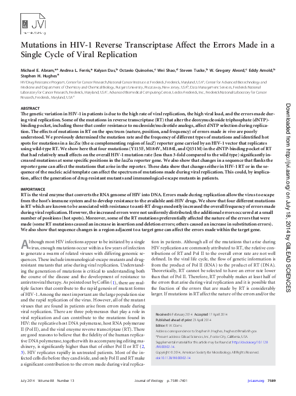 (PDF) Mutations in HIV-1 RT Affect the Errors Made in a Single Cycle of ...