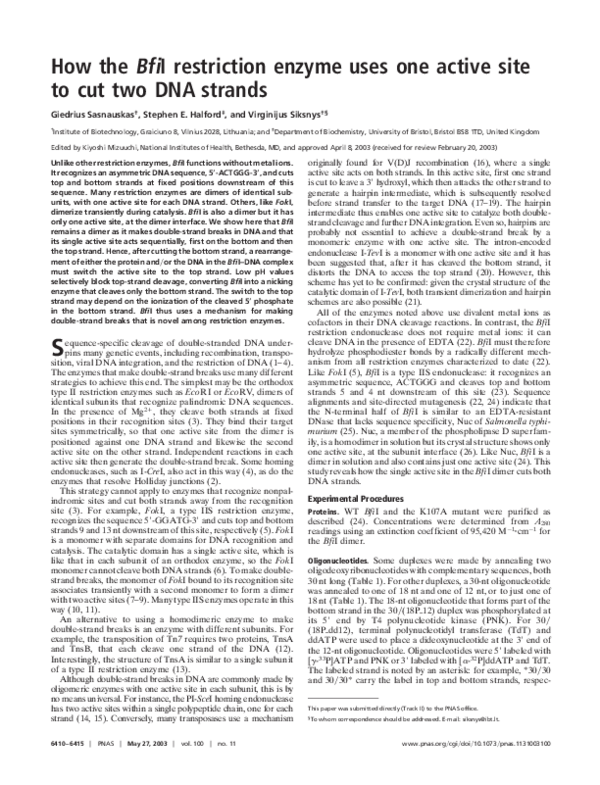 (PDF) How the BfiI restriction enzyme uses one active site to cut two ...