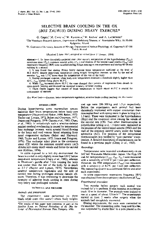 (PDF) Selective brain cooling in the ox (Bos taurus) during heavy exercise