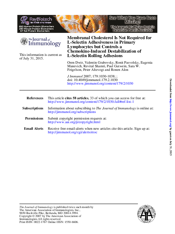 (PDF) Membranal Cholesterol Is Not Required for L-Selectin Adhesiveness ...