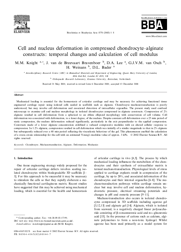 (PDF) Cell and nucleus deformation in compressed chondrocyte–alginate ...