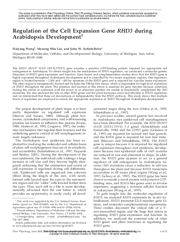 (PDF) Regulation of the Cell Expansion Gene RHD3 during Arabidopsis ...
