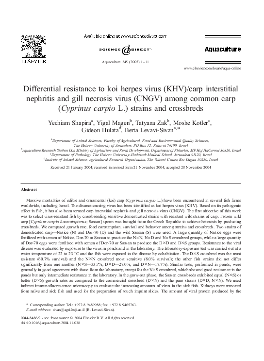 (PDF) Differential resistance to koi herpes virus (KHV)/carp ...