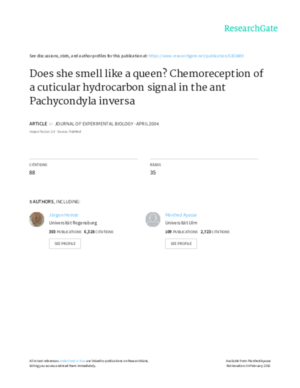(PDF) Does she smell like a queen? Chemoreception of a cuticular ...