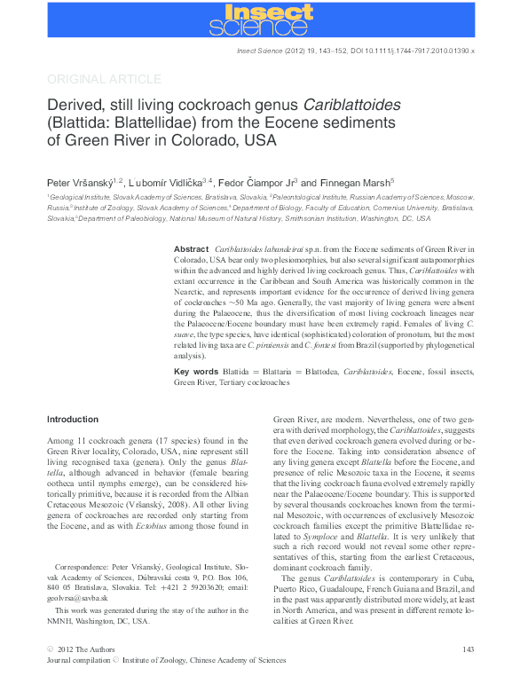(PDF) Derived, still living cockroach genus Cariblattoides (Blattida ...
