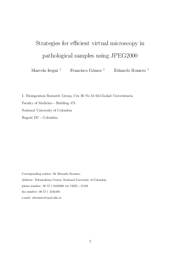 (PDF) Strategies for efficient virtual microscopy in pathological ...