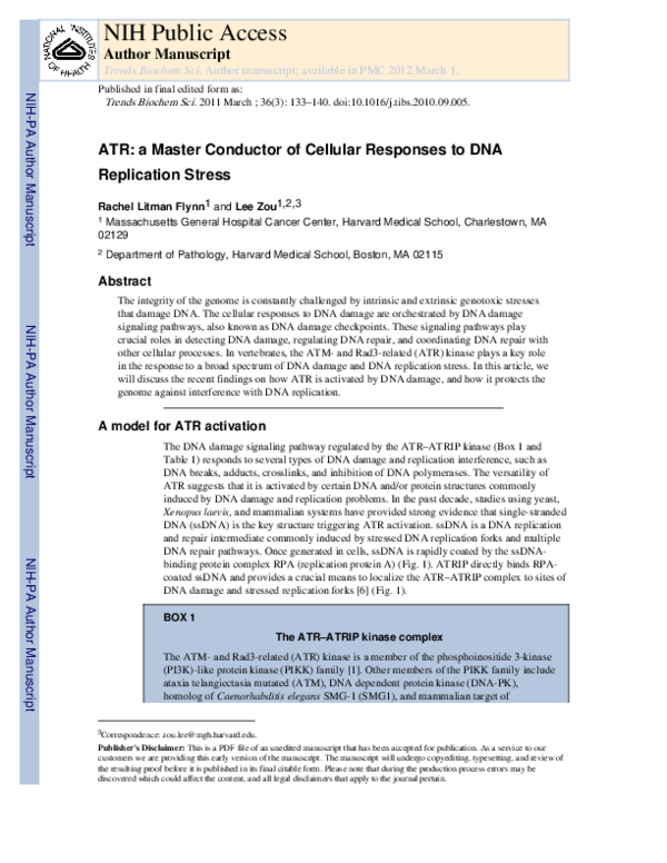 (PDF) ATR: a master conductor of cellular responses to DNA replication ...