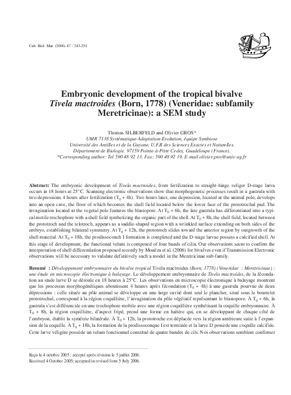(PDF) Embryonic development of the tropical bivalve Tivela mactroides ...
