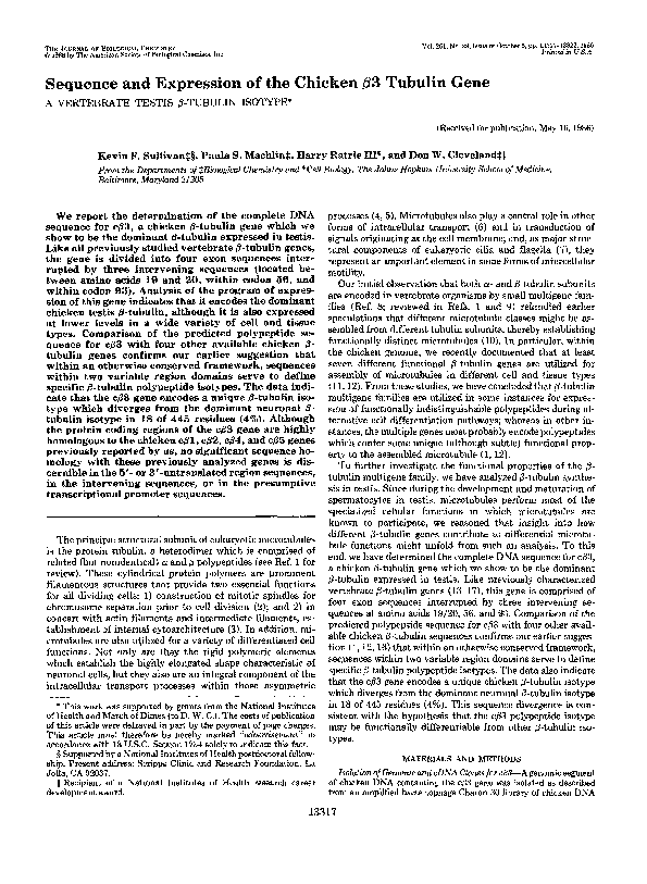 (PDF) Sequence and expression of the chicken beta 3 tubulin gene. A ...
