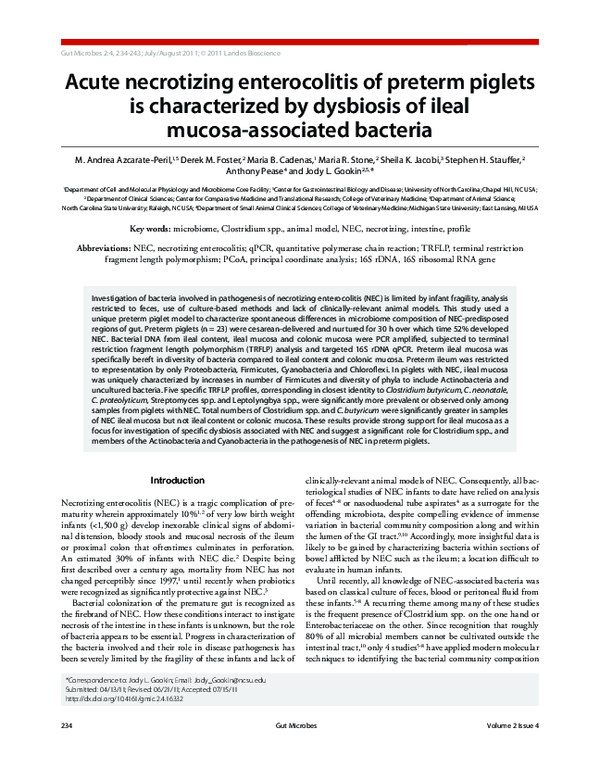 (PDF) Acute necrotizing enterocolitis of preterm piglets is ...