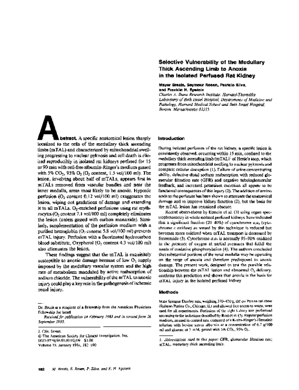 (PDF) Selective vulnerability of the medullary thick ascending limb to ...