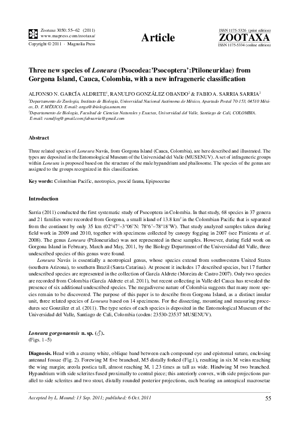 (PDF) Three new species of Loneura (Psocodea:’Psocoptera’:Ptiloneuridae ...