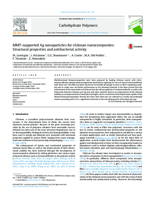 (PDF) MMT-supported Ag nanoparticles for chitosan nanocomposites ...