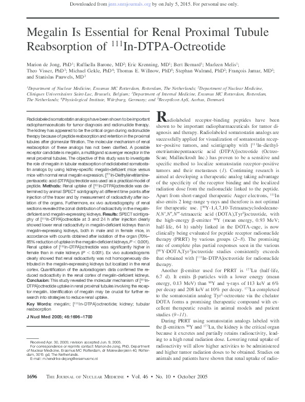 (PDF) Megalin is essential for renal proximal tubule reabsorption of ...