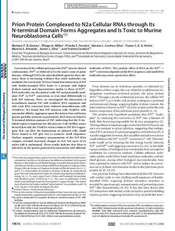 (PDF) Prion Protein Complexed to N2a Cellular RNAs through Its N ...
