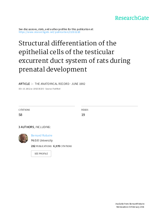 (PDF) Structural differentiation of the epithelial cells of the ...
