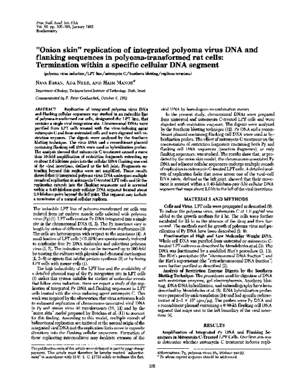 (PDF) Onion skin" replication of integrated polyoma virus DNA and ...