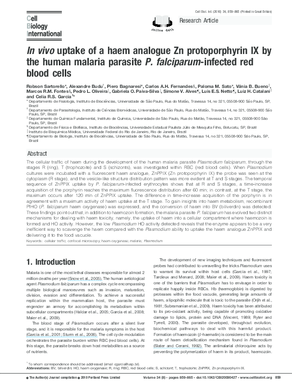(PDF) In vivo uptake of a haem analogue Zn protoporphyrin IX by the ...