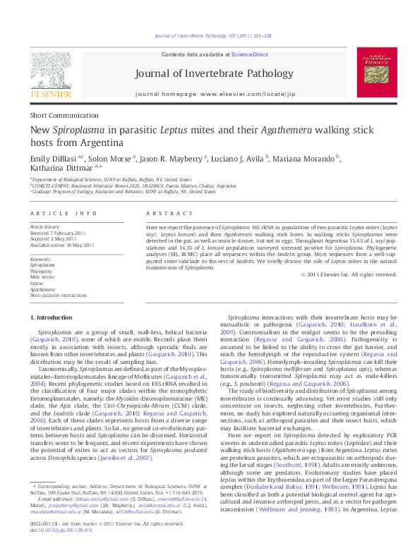 (PDF) New Spiroplasma in parasitic Leptus mites and their Agathemera ...