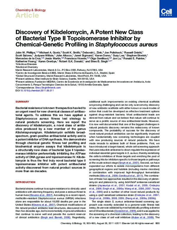 (PDF) Discovery of Kibdelomycin, A Potent New Class of Bacterial Type ...