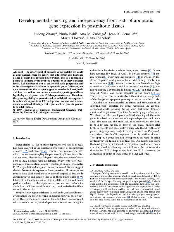 (PDF) Developmental silencing and independency from E2F of apoptotic ...