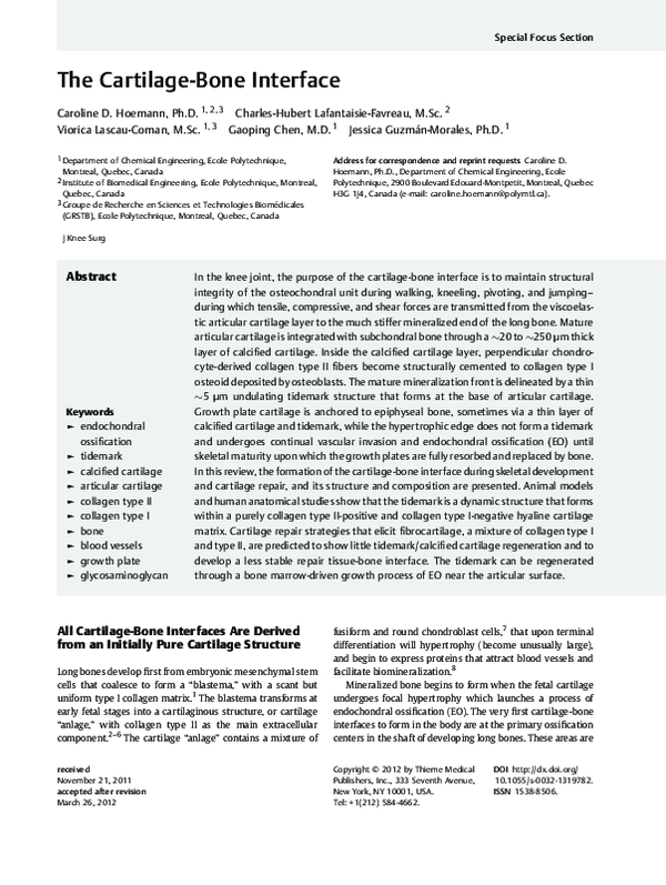 (PDF) The Cartilage-Bone Interface