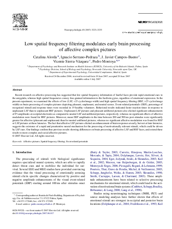 (PDF) Low spatial frequency filtering modulates early brain processing ...