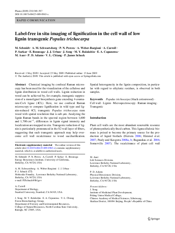 (PDF) Label-free in situ imaging of lignification in the cell wall of ...