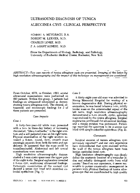 (PDF) Ultrasound diagnosis of tunica albuginea cyst: Clinical perspective