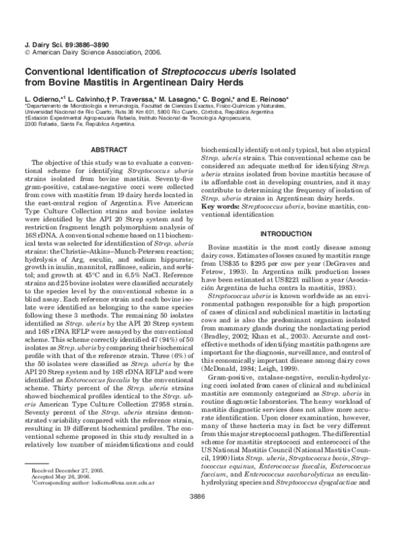 (PDF) Conventional Identification of Streptococcus uberis Isolated from ...