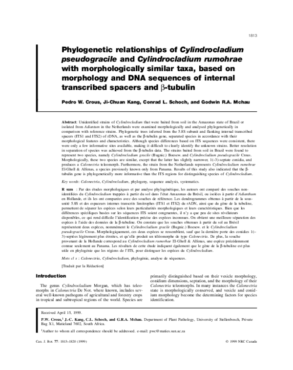 (PDF) Phylogenetic relationships of Cylindrocladium pseudogracile and ...