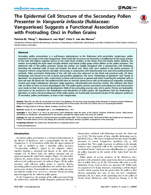 (PDF) The Epidermal Cell Structure of the Secondary Pollen Presenter in ...
