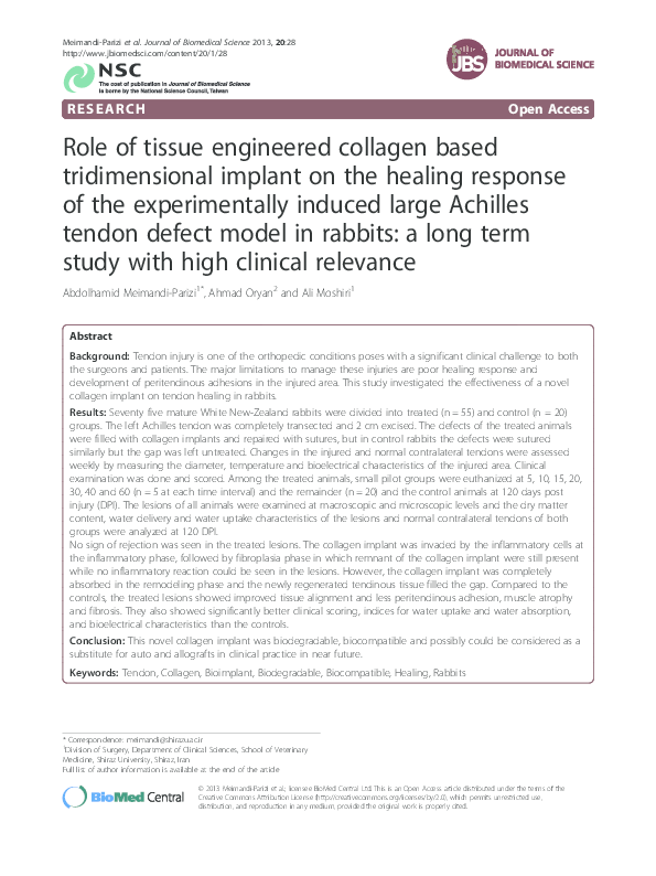 (PDF) Collagen fibre implant for tendon and ligament biological ...