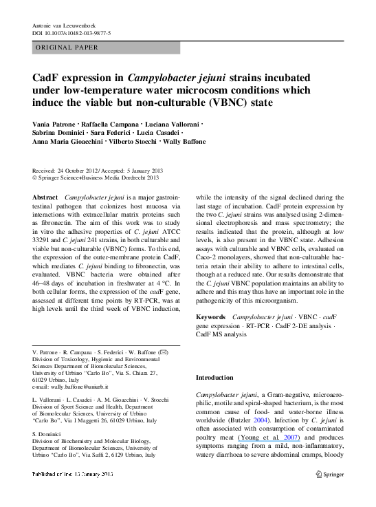 (PDF) CadF expression in Campylobacter jejuni strains incubated under low-temperature water ...