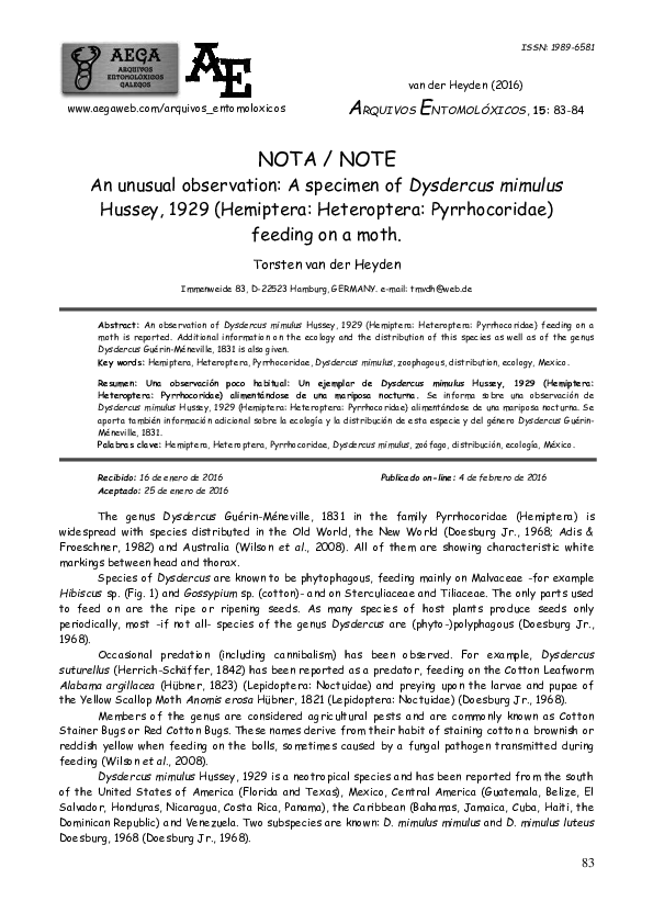 (PDF) An unusual observation: A specimen of Dysdercus mimulus Hussey ...