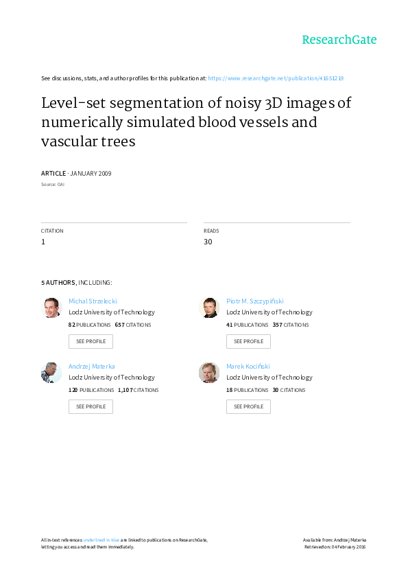 (PDF) Level-set segmentation of noisy 3D images of numerically simulated blood vessels and ...