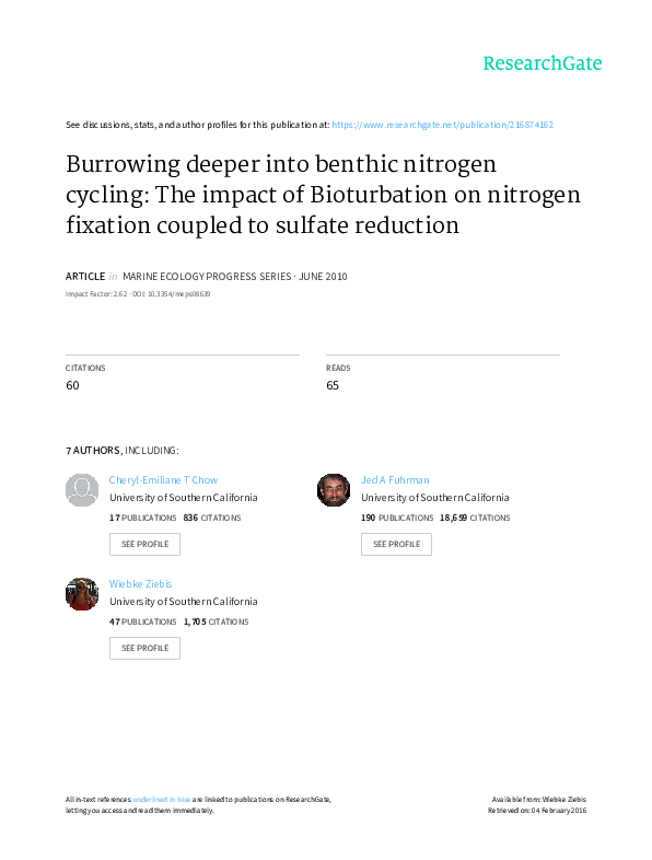 (PDF) Burrowing deeper into benthic nitrogen cycling: the impact of ...