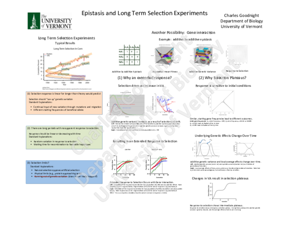 (PDF) Epistasis and long term selection experiments