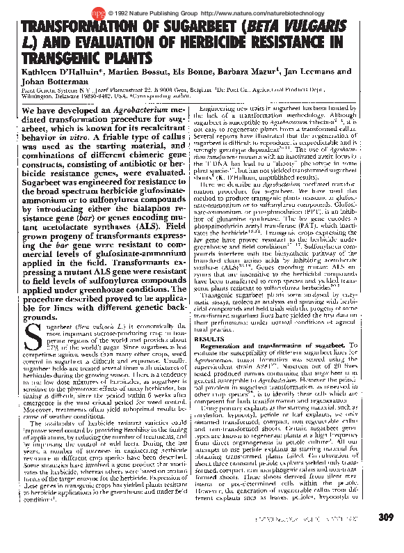 (PDF) Transformation of Sugarbeet (Beta vulgaris L.) and Evaluation of ...