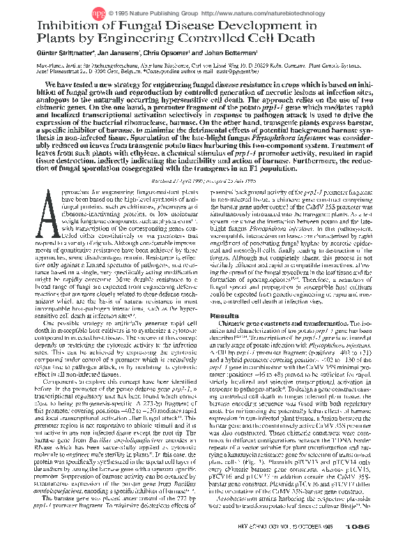 (PDF) Inhibition of Fungal Disease Development in Plants by Engineering ...