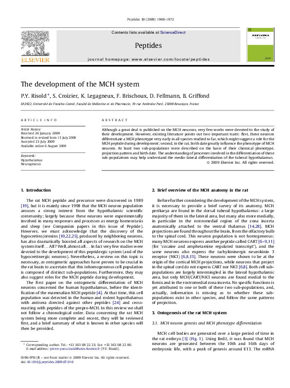 (PDF) The development of the MCH system