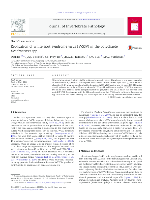 (PDF) WSSV Replication in Polychaete Dendronereis spp: First Report