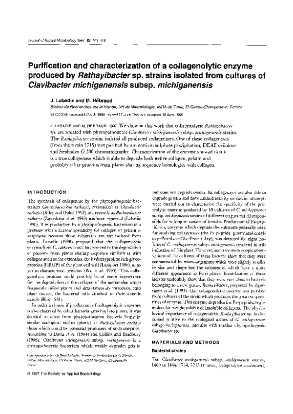 (PDF) Purification and characterization of a collagenolytic enzyme produced by Rathayibacter sp ...