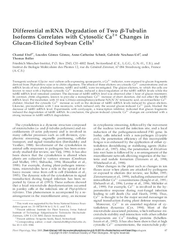 (PDF) Ca21 Changes Affect b-Tubulin mRNA in Soybeans