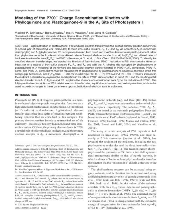 (PDF) Modeling of the P700+ Charge Recombination Kinetics with ...