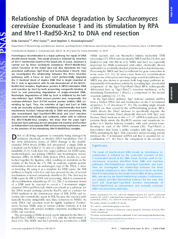 (PDF) Relationship of DNA degradation by Saccharomyces cerevisiae Exonuclease 1 and its ...